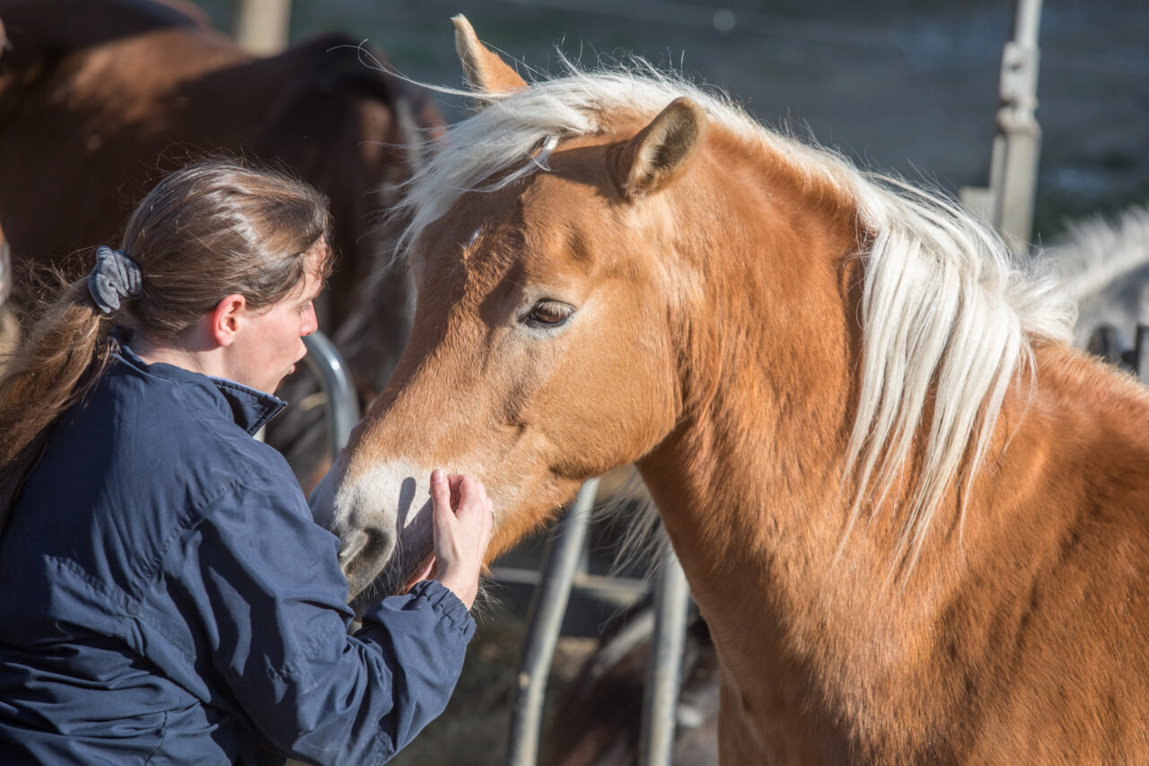 Dr. Barbara Weidinger - Dr. vet. Barbara Weidinger