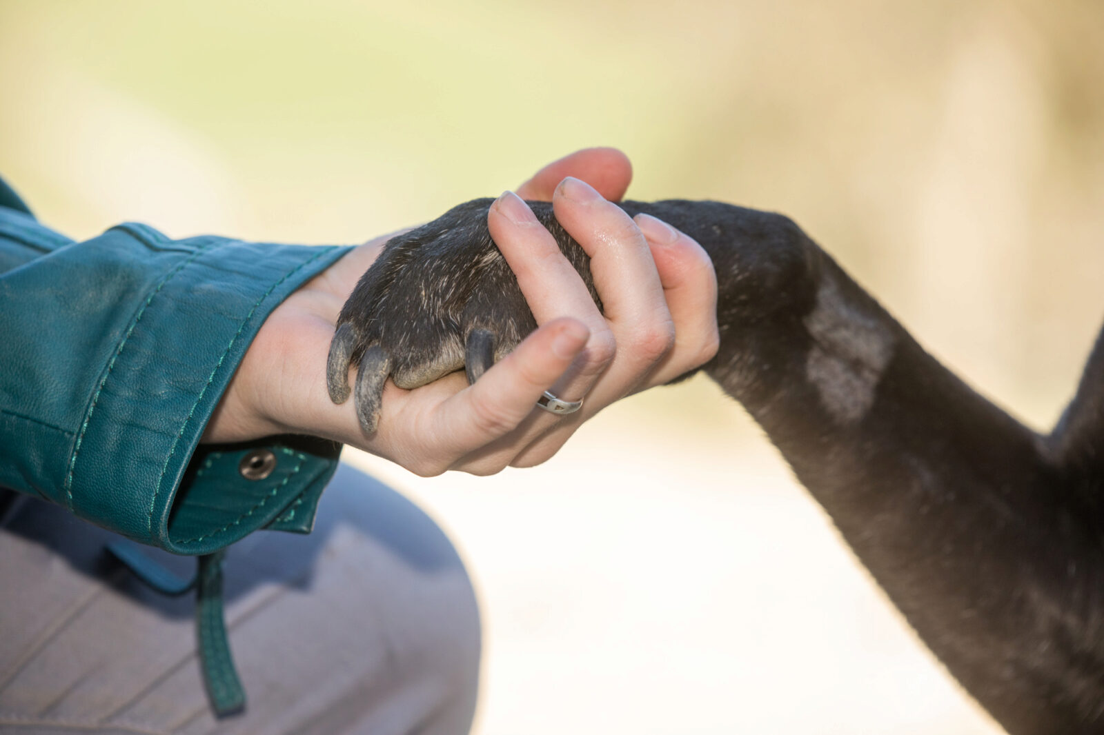 Dr. Barbara Weidinger - Für Kollegen