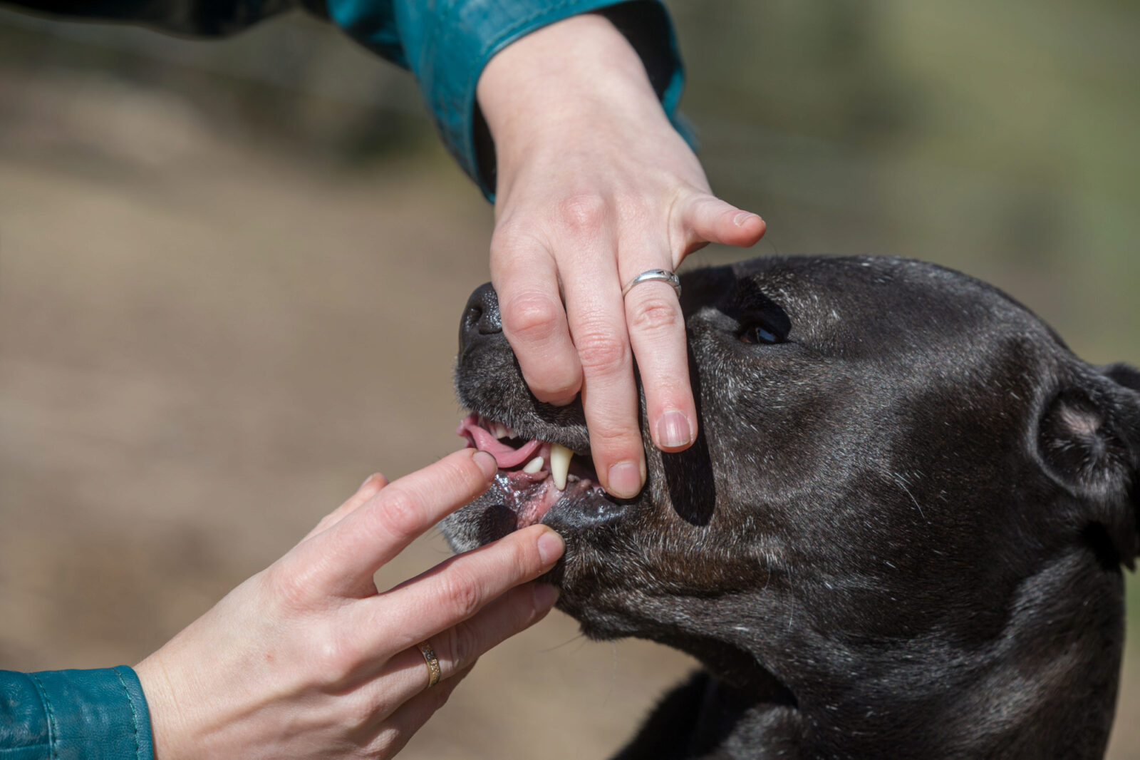Dr. Barbara Weidinger - Für Kollegen