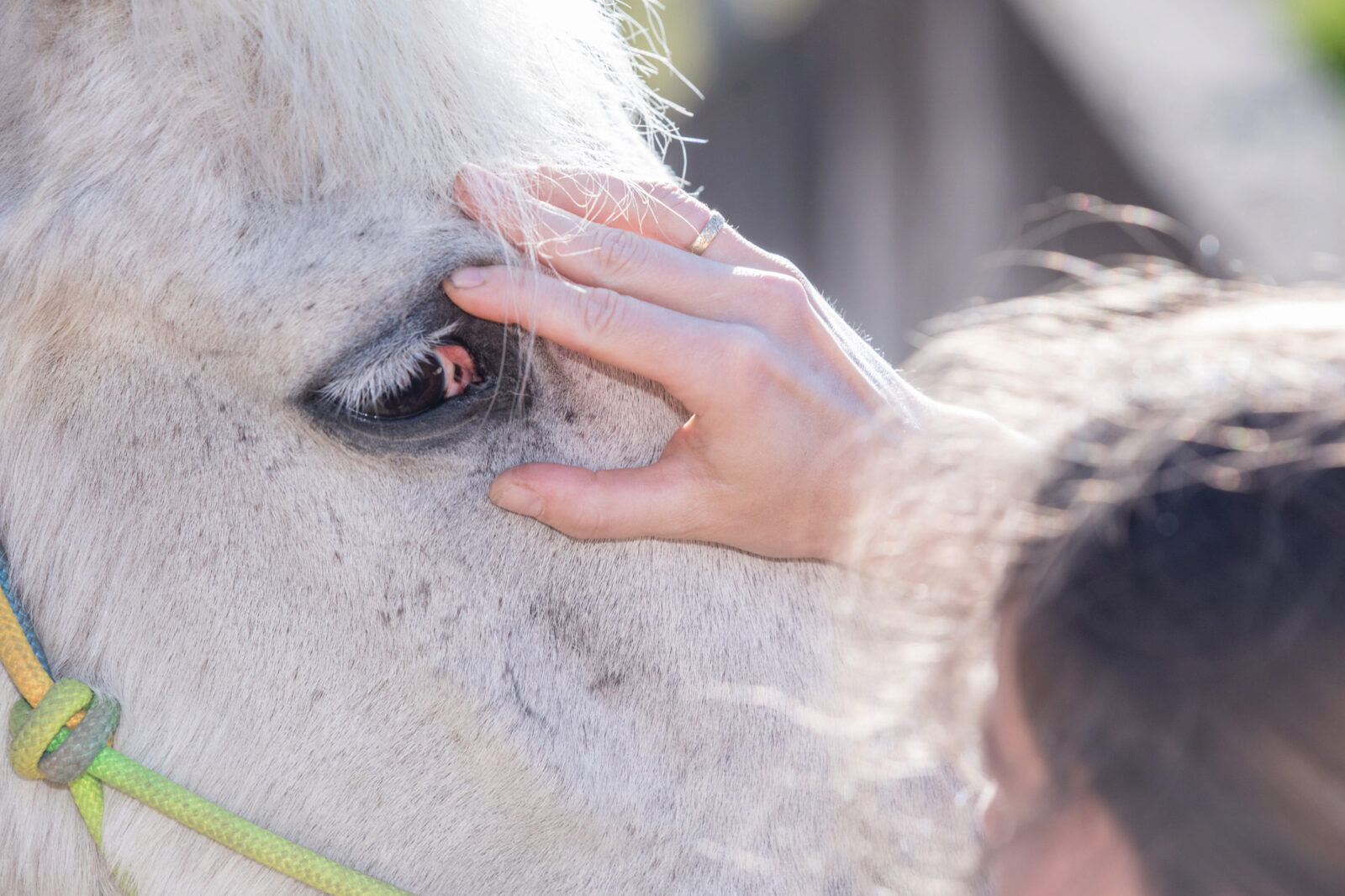 Dr. Barbara Weidinger - Für Kollegen