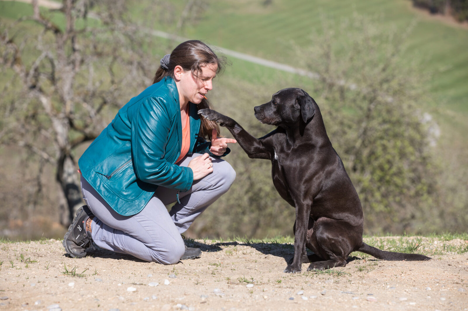 Dr. Barbara Weidinger - Dr. vet. Barbara Weidinger
