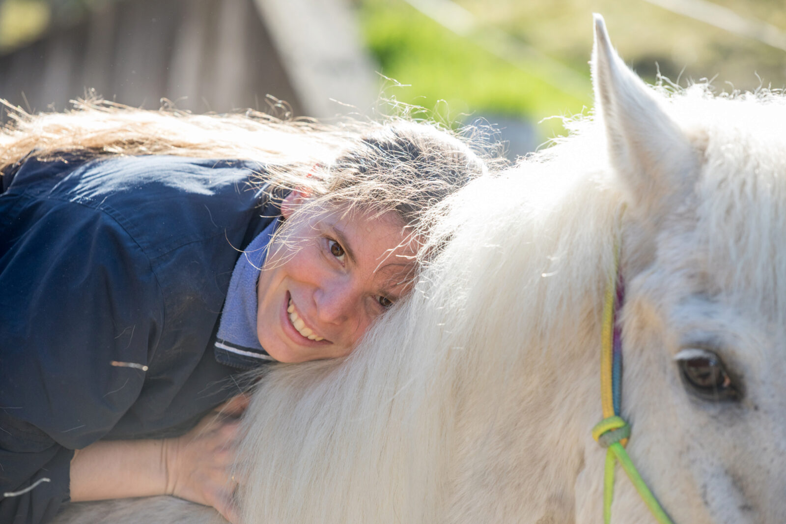Dr. Barbara Weidinger - Über Dr. vet. Barbara Weidinger